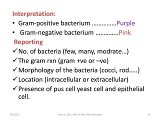 gram stain and Acid fast bacteria experimental guide | PDF