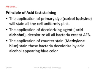 gram stain and Acid fast bacteria experimental guide | PDF