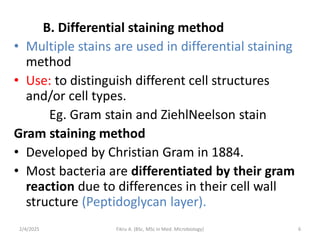 gram stain and Acid fast bacteria experimental guide | PDF