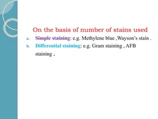 Gram stain by manoj | PPTX
