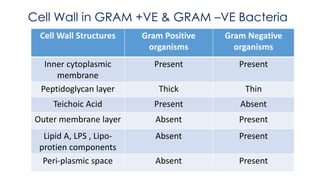 Gram stain demonstration | PPTX