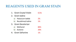 Gram stain demonstration | PPTX