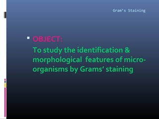Gram staining | PPT | Chemistry | Science