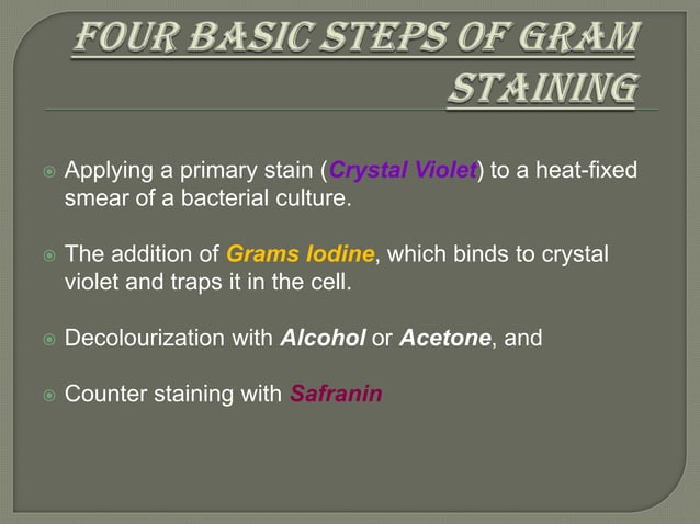 Gram staining | PPTX