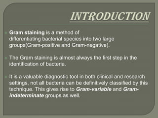 How Do Gram Stains Work