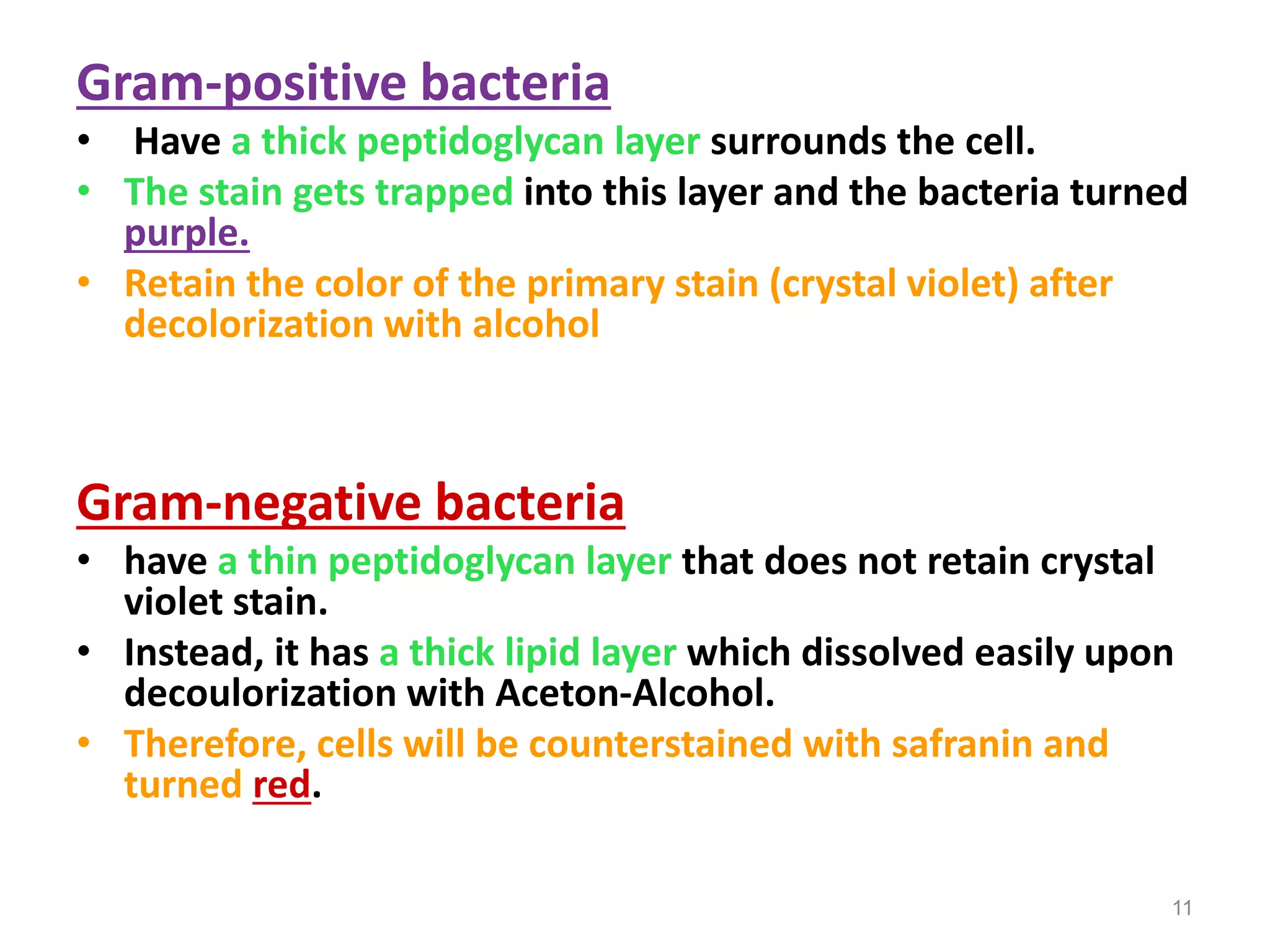 Gram staining miceobiology student | PPTX