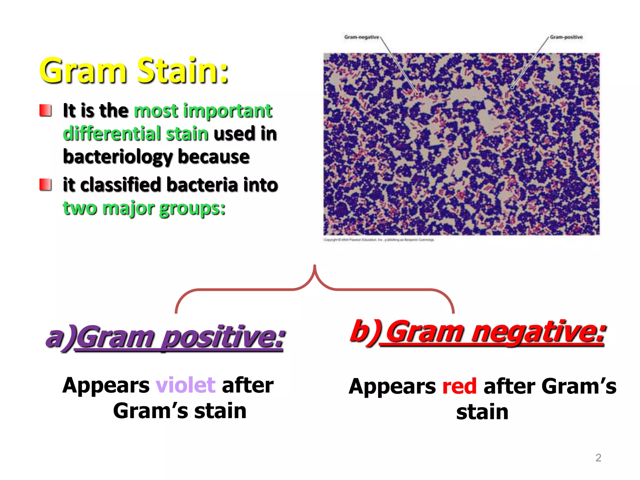 Gram staining miceobiology student | PPTX