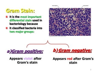 Gram staining miceobiology student | PPTX