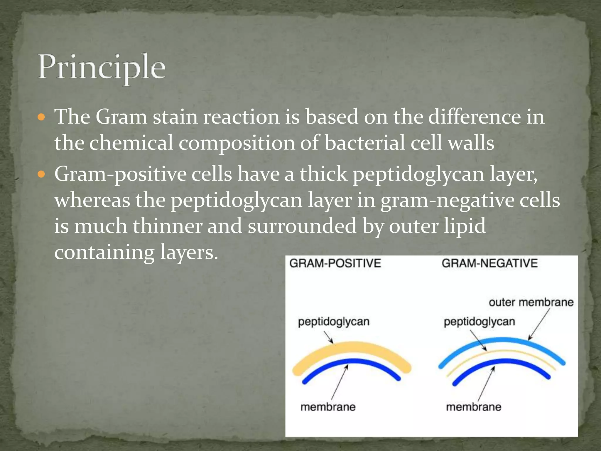 Gram staining Principle, Procedure, Reagents required for Gram Staining ...