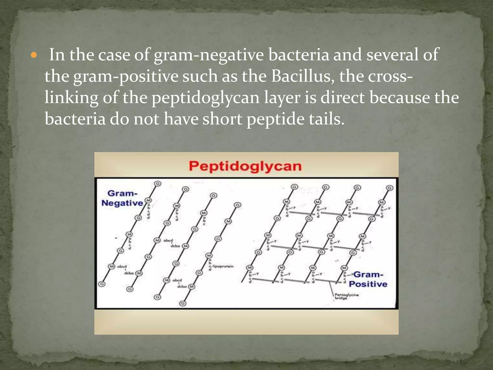 Gram staining Principle, Procedure, Reagents required for Gram Staining ...