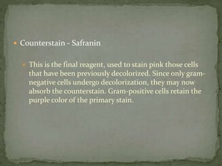 Gram staining Principle, Procedure, Reagents required for Gram Staining ...