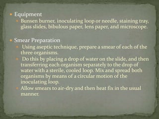 Gram staining Principle, Procedure, Reagents required for Gram Staining ...