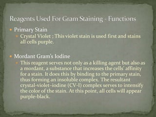 Gram staining Principle, Procedure, Reagents required for Gram Staining ...