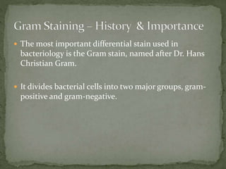 Gram Stain Reagents