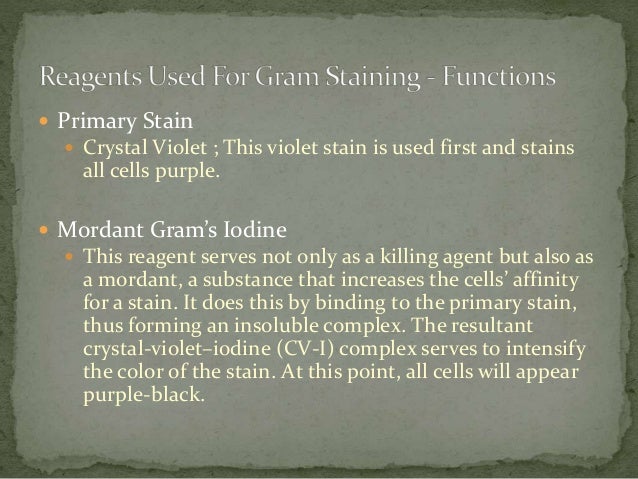 Gram staining Principle, Procedure, Reagents required for Gram Staini…
