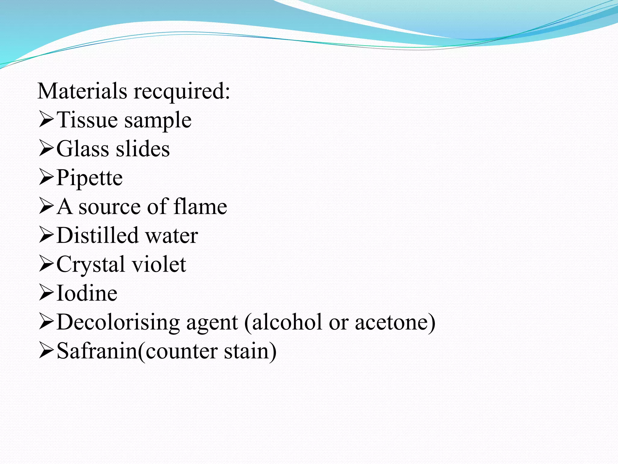 Gram Staining Ppt