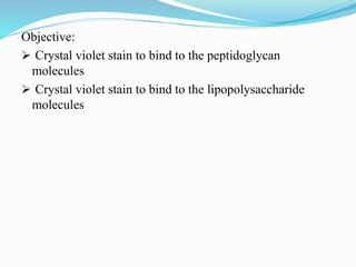 Gram staining | PPT