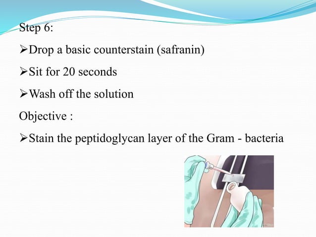Gram staining | PPT