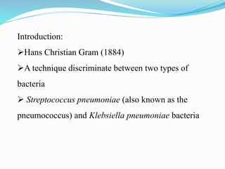 Gram staining | PPT