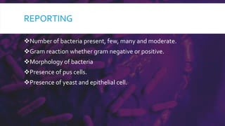 Gram staining | PPTX