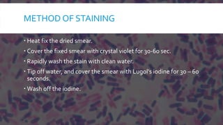 Gram staining | PPTX