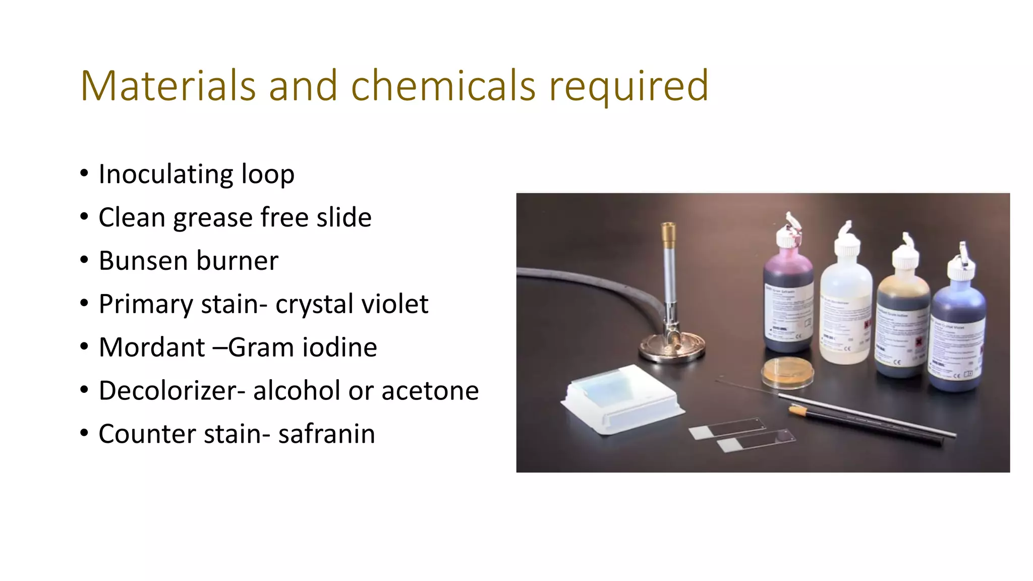 Gram staining Gram positive and gram negative bacteria can be ...