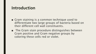 Gram staining | PPTX