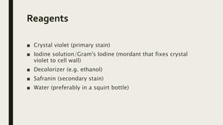 Gram staining | PPTX