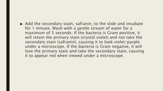 Gram staining | PPTX