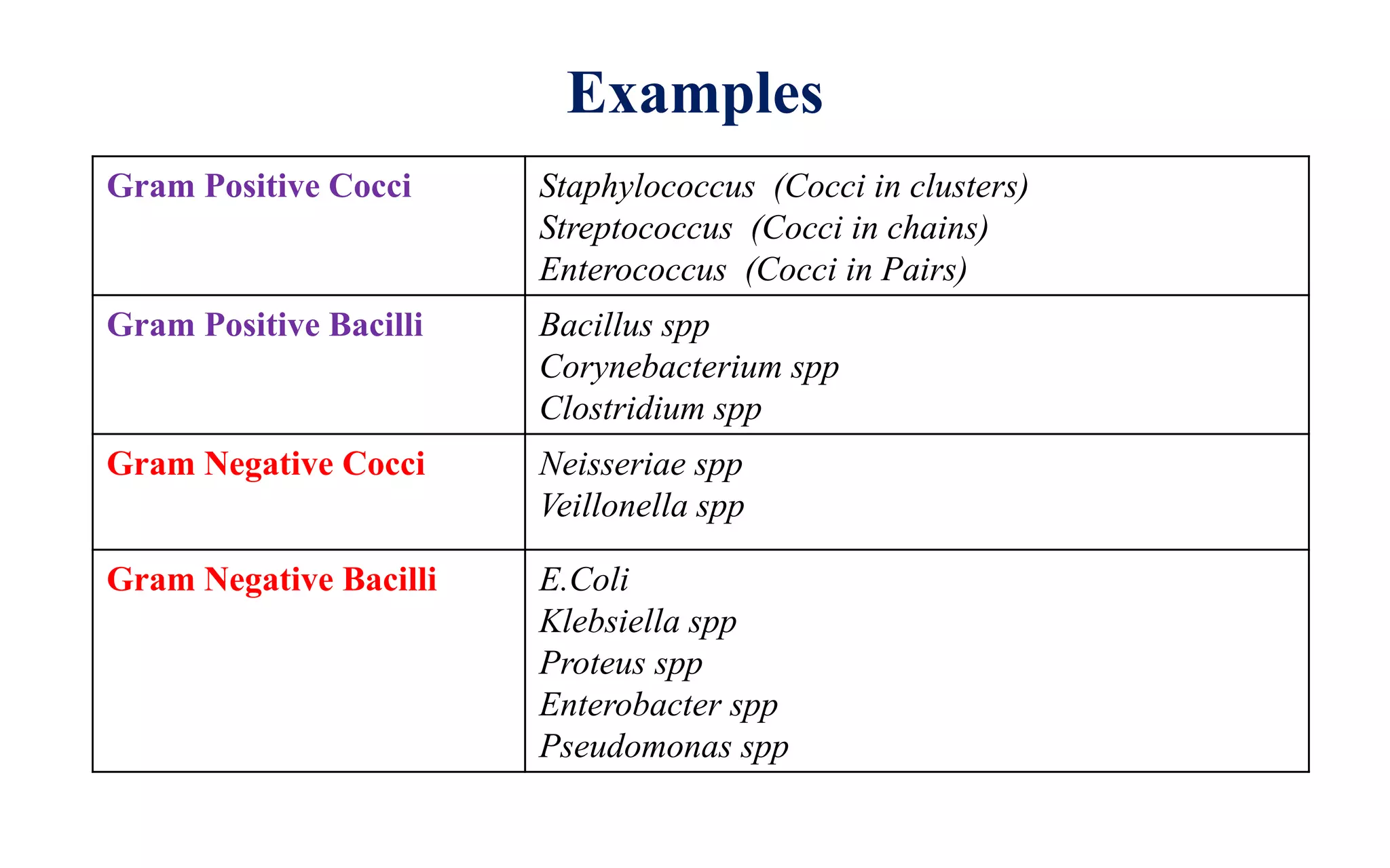 Gram staining | PPTX