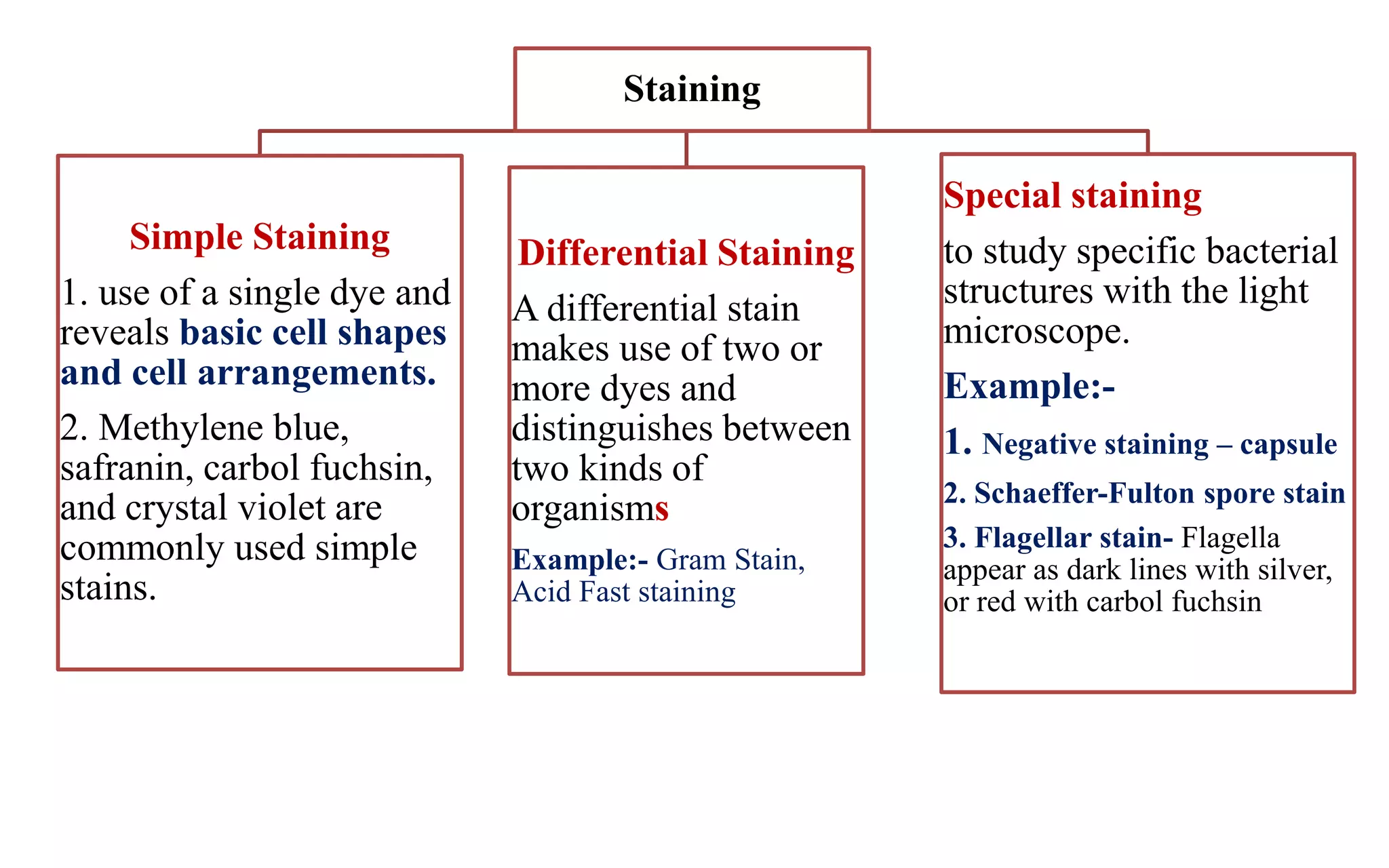 Gram staining | PPTX