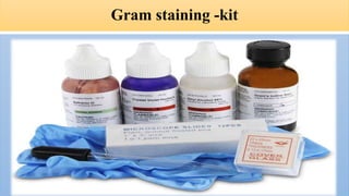 Gram staining | PPTX