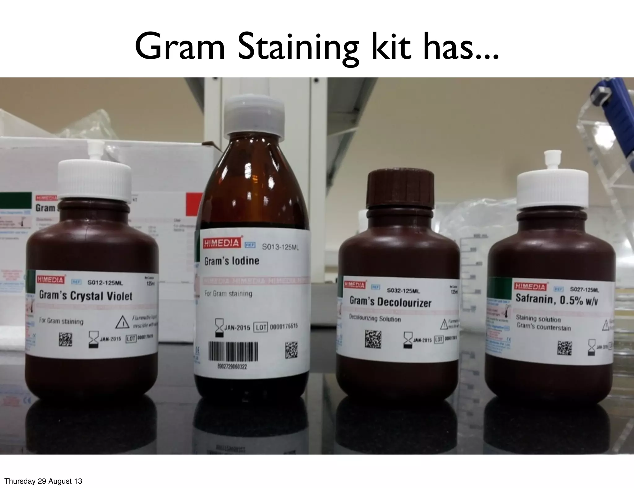 Gram Staining.pdf | Chemistry | Science