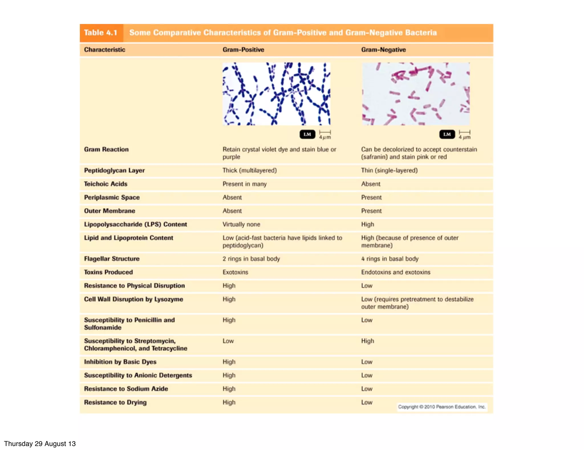Gram Staining.pdf | Chemistry | Science