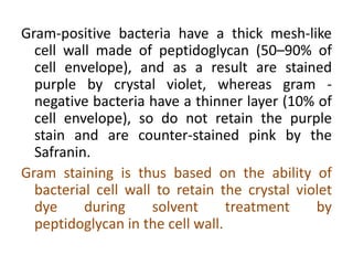 Gram Staining.pptx