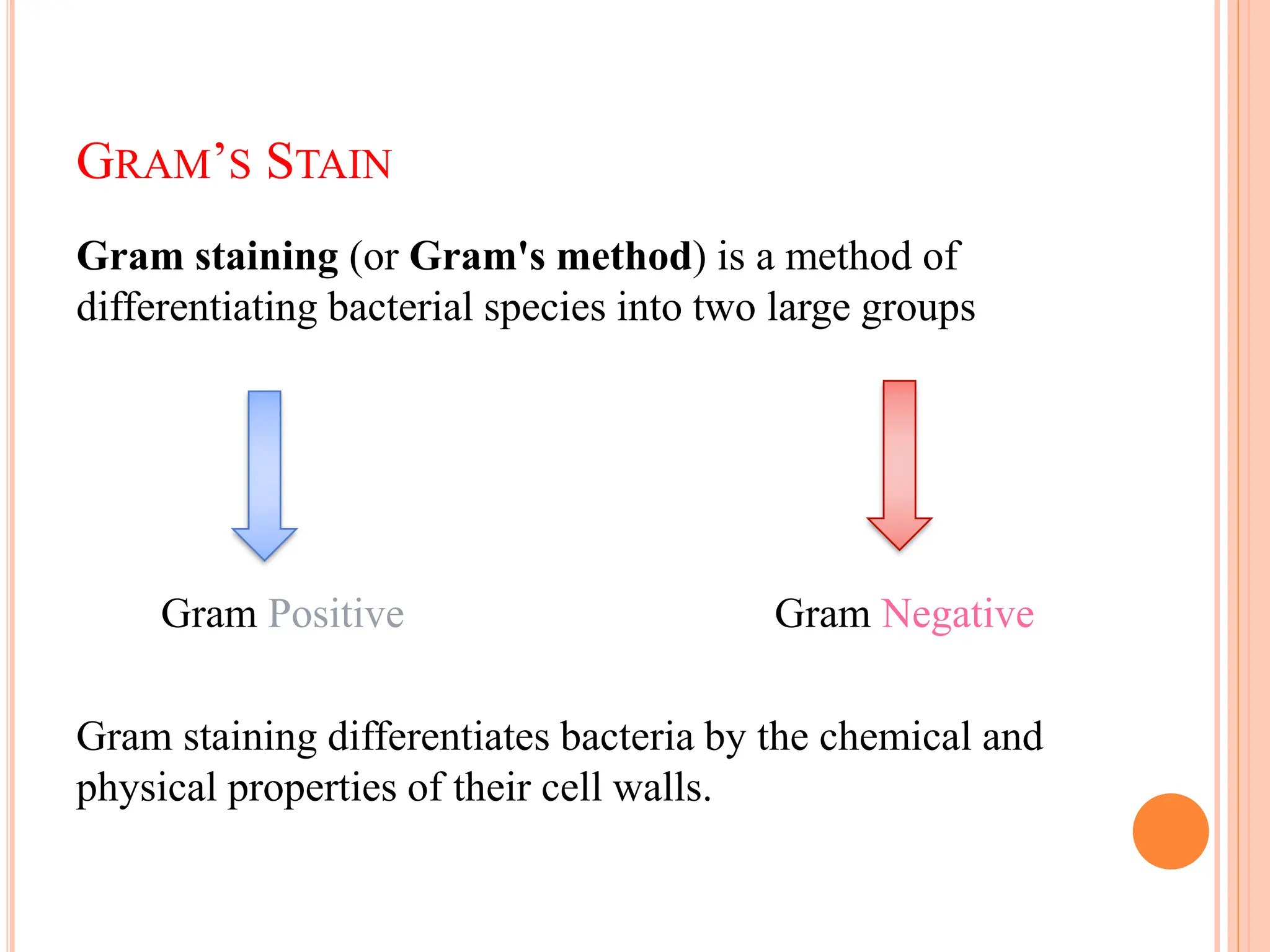 Gram Staining. d dcdhcbjhdhcjbhdbfhbsdbbak | PPT