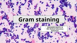GRAM STAINING.ppt / From :- mohra medical class | PPTX