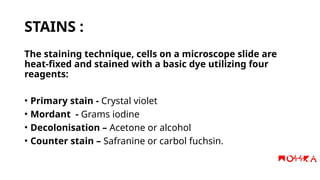 GRAM STAINING.ppt / From :- mohra medical class | PPTX