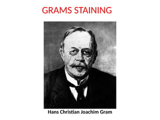 Gram staining Preliminary tool to diagnosing bacterial disease | PPTX