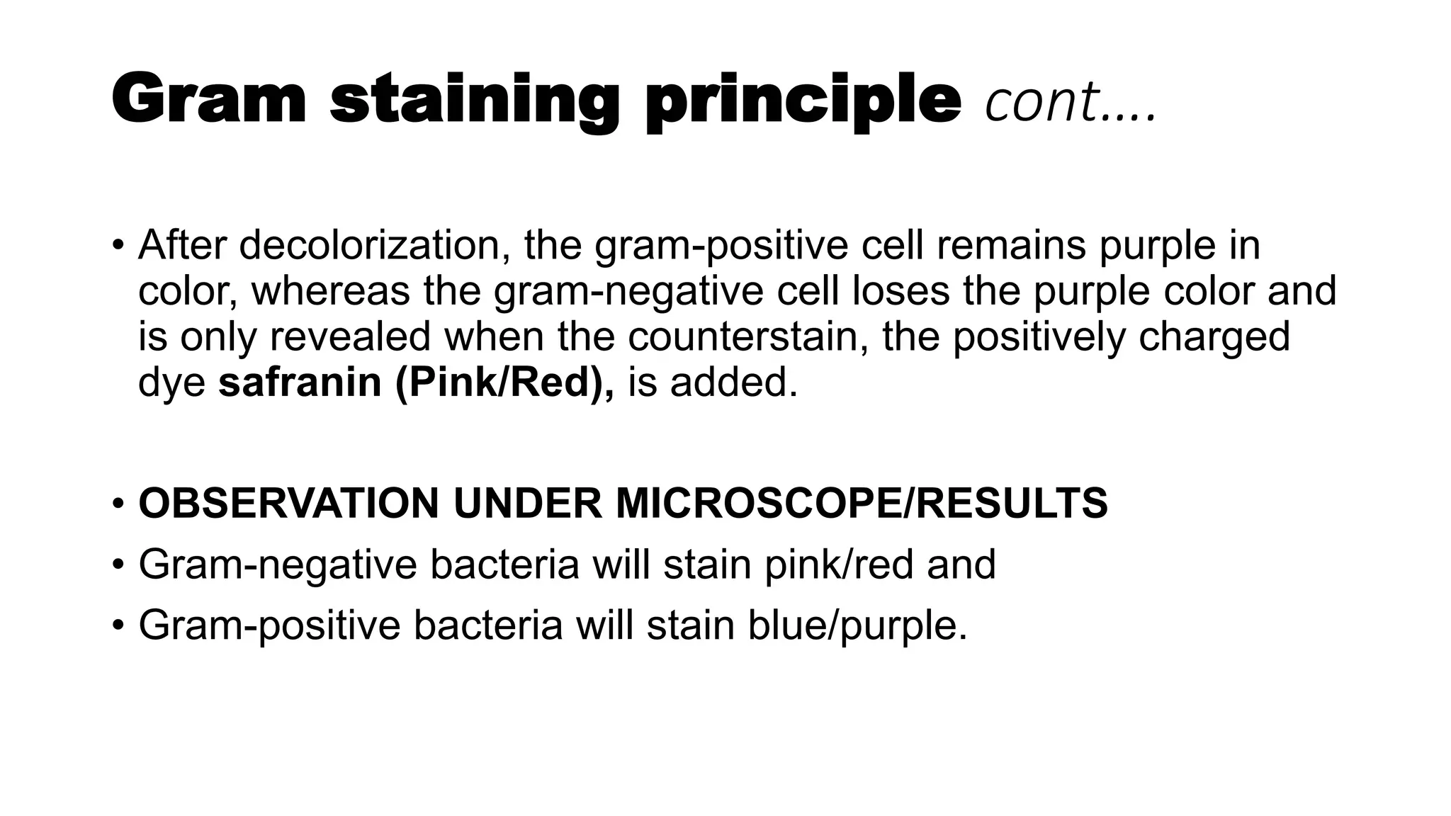 Gram Staining Glmpptx