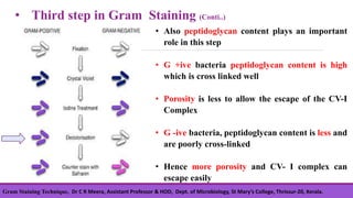 Gram Staining Technique | PPTX