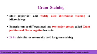 Gram Staining Technique | PPTX