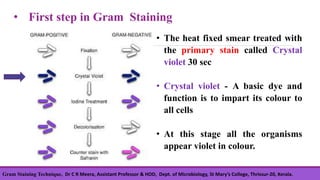 Gram Staining Technique | PPTX