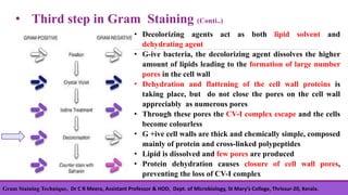 Gram Staining Technique | PPTX