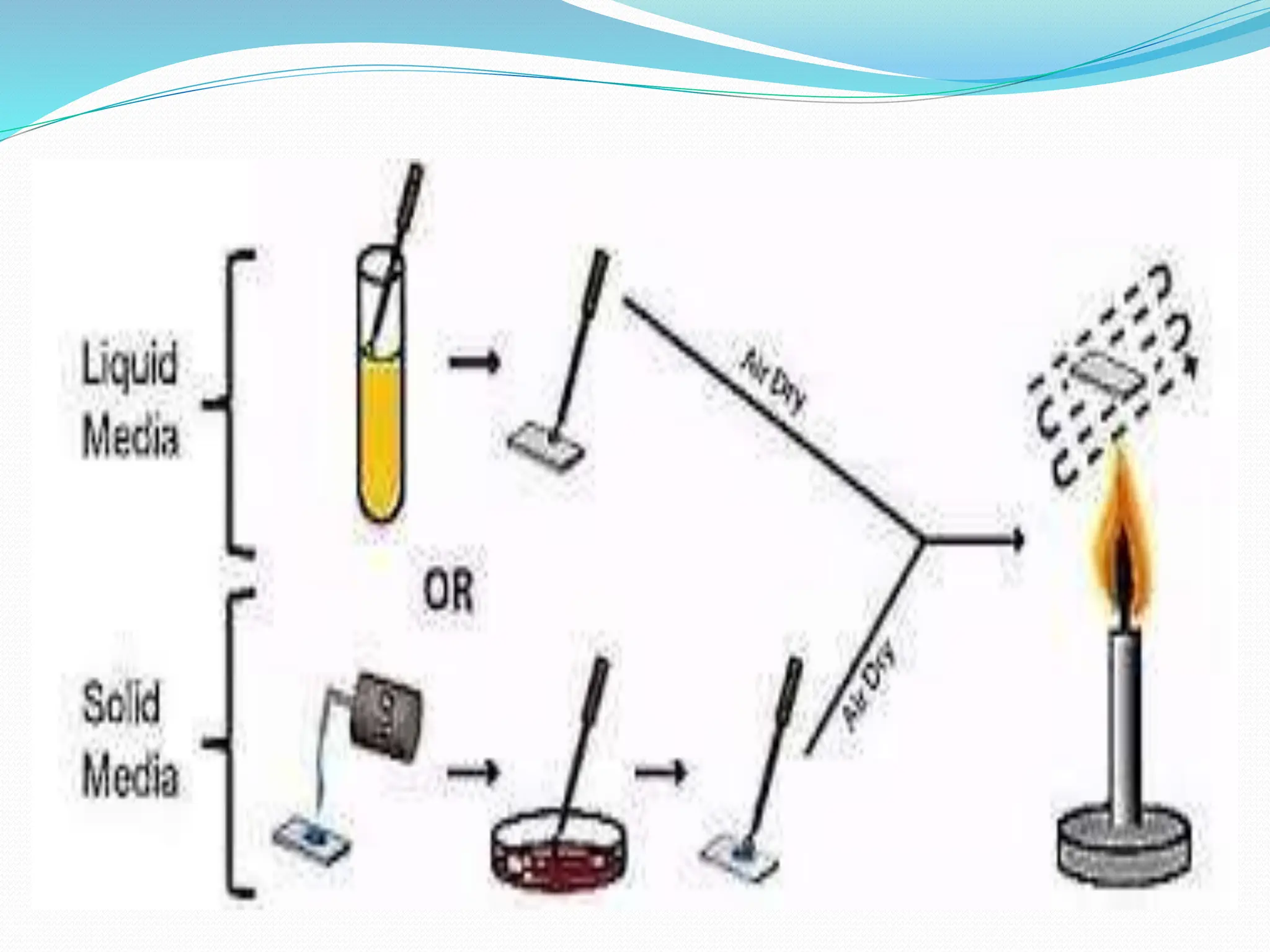 GRAM STAINING AND its MODIFICATIONs.pptx