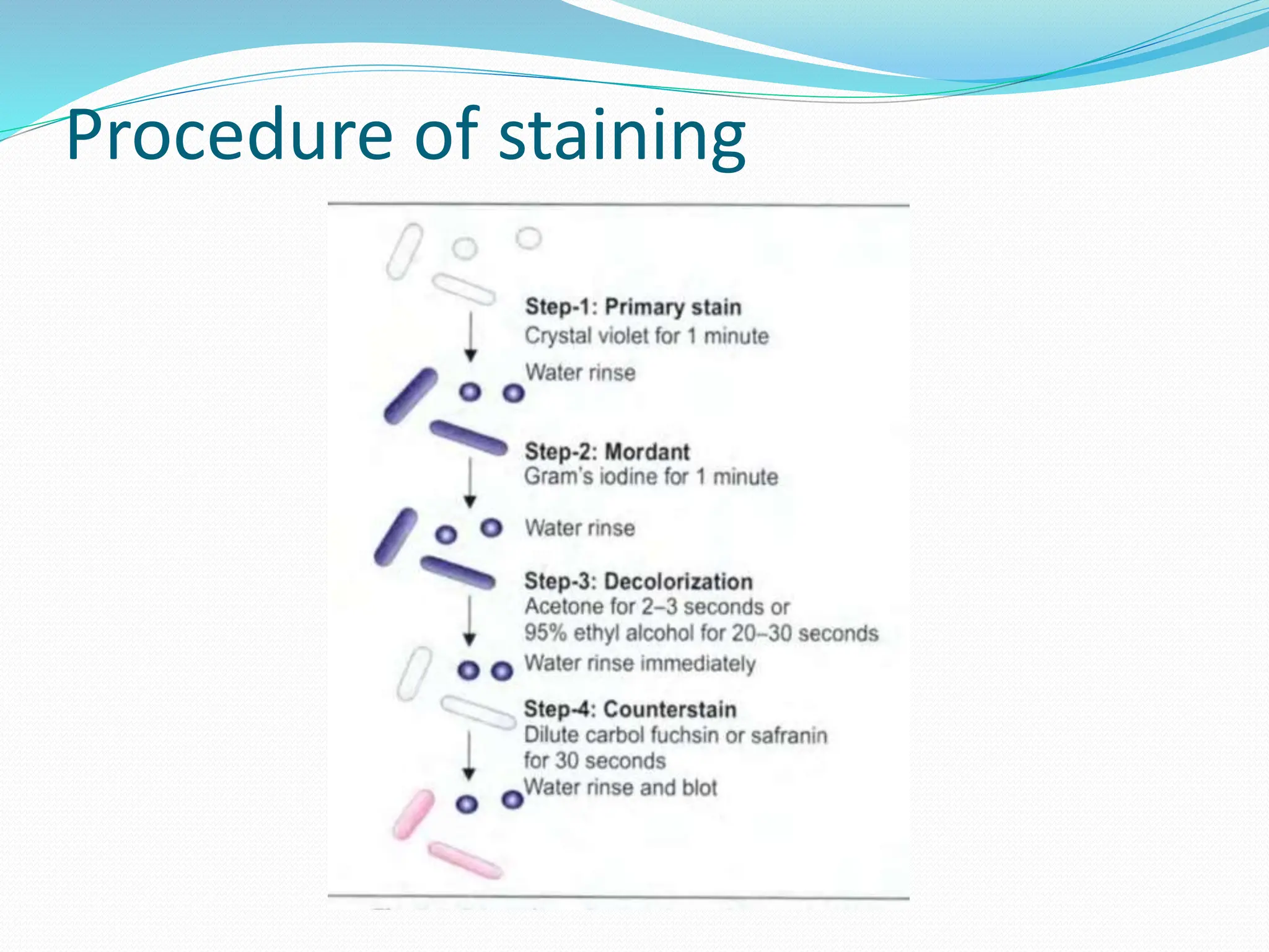 GRAM STAINING AND its MODIFICATIONs.pptx