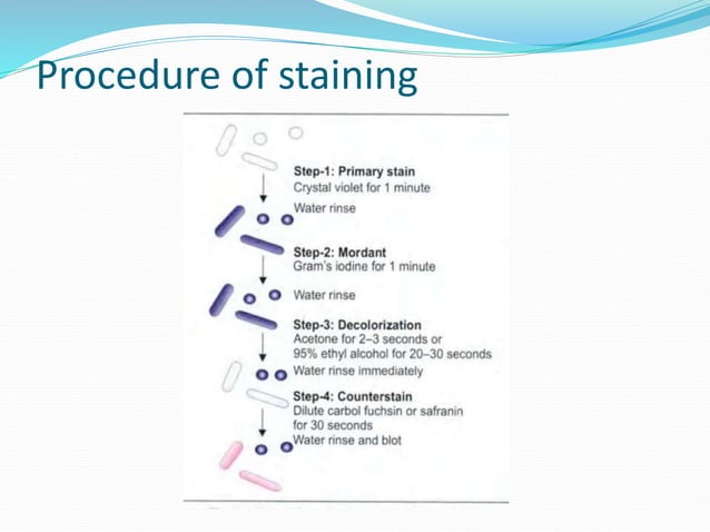 GRAM STAINING AND its MODIFICATIONs.pptx