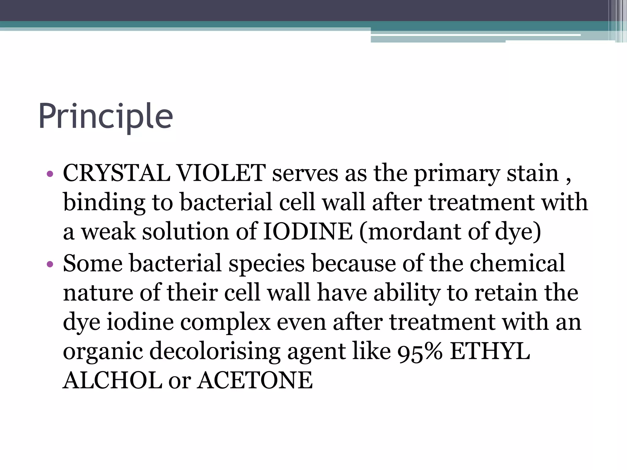 Gram staining Demo.pptx