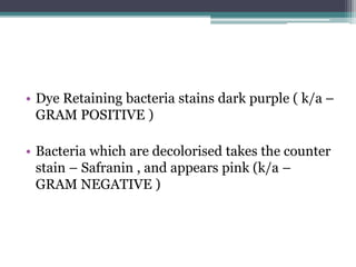Gram staining Demo.pptx