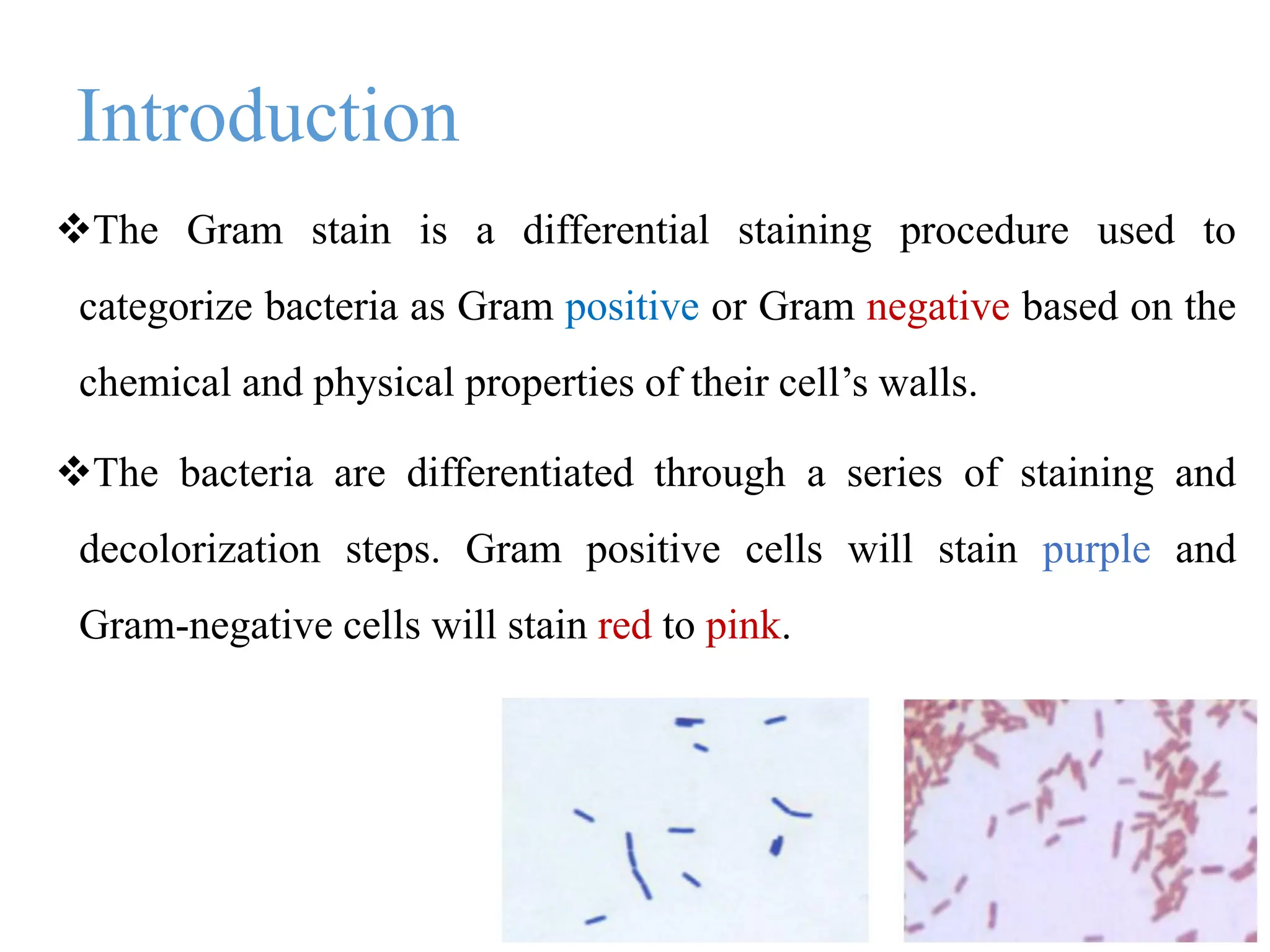 Gram Staining PDF.pdf